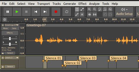 Modify All Label Text In Batch Programming And Development Audacity