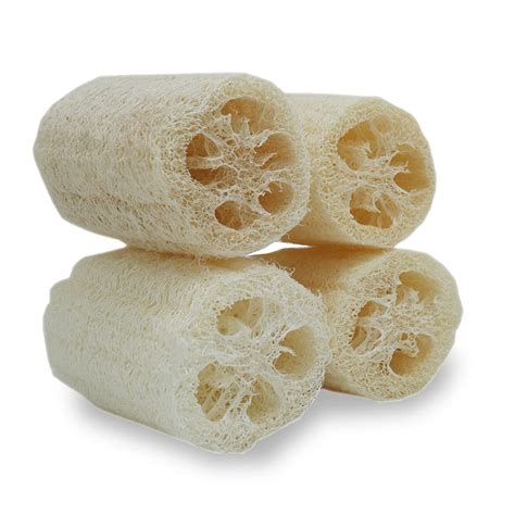 Pisdoplop 4 Natural Loofah Exfoliating Body Sponge