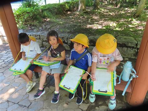 学校ニュース 2024年6月19日水曜日 桜並木学園つくば市立桜南小学校公式ホームページ