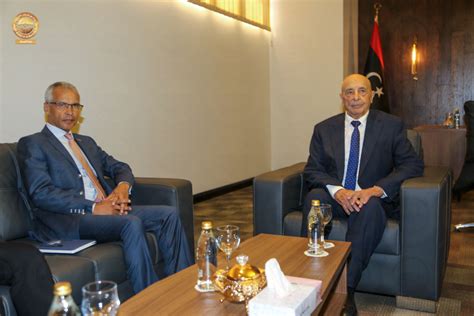وكالة الأنباء الليبية النائب بالمجلس الرئاسي موسى الكوني يلتقي وفد من