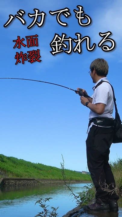チニング初心者でも巻くだけで釣れるルアーが規格外にやばい 釣り 釣具 チニング ちぬ チヌトップ チヌ Youtube