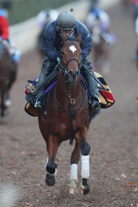 【朝日杯fs】オオバンブルマイ好位差し！求められるスピード＋持久力 スポニチ競馬web