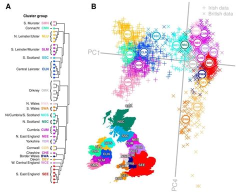 Geography Through Genetics Trinity News