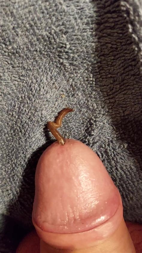 Worm ThisVid Com