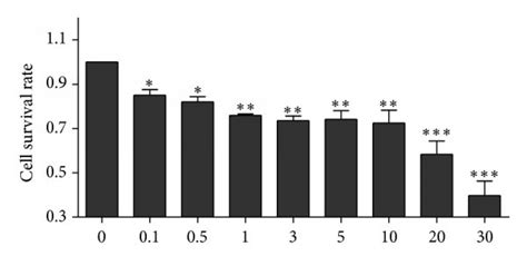 Doxorubicin Induces Cell Injury By Promoting Apoptosis In Download