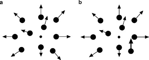 Figure 2 From The Detection Of Moving Objects By Moving Observers
