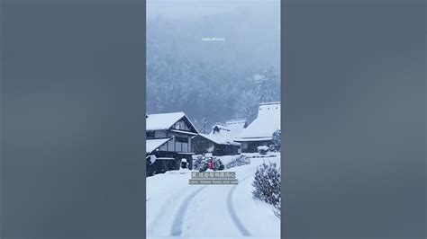 心若无所求 风 风皆自由 治愈系风景 创作灵 若无所求 创作灵感 京都遥遥 致拼搏奋斗路上的自己 愿所有美好不期而遇 京都美山 日本接送机 Japan 日本旅行攻略 定制旅游 旅行