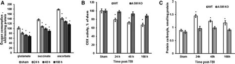 Tbi Induced Mitochondrial Dysfunction And Protein Oxidative Damage Is