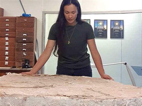 New Pterosaur Species In Queensland Is The Most Complete Found In Australia