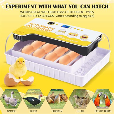 Buy Sailnovo Eggs Incubators For Hatching Eggs With LED Light Fully