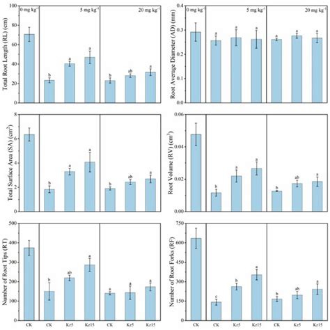 Root Morphological Parameters Including A Total Length B Total Download Scientific
