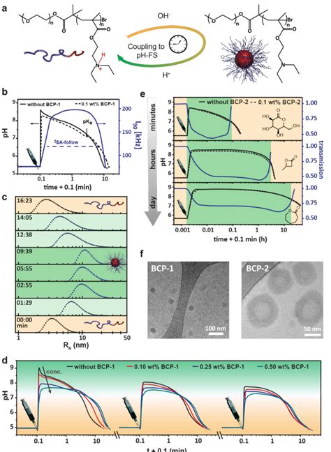 Temporal Programming Of Self Regulating Bcp Sas Using Generation 1 Download Scientific Diagram