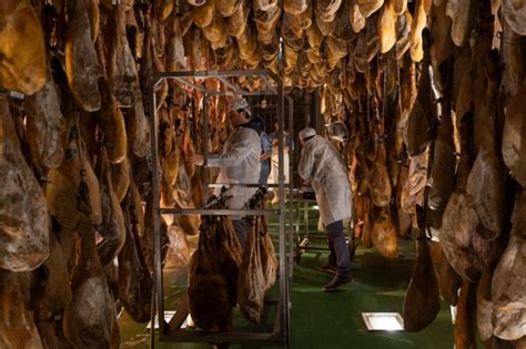 El Fascinante Proceso De Curación Del Jamón Ibérico De Bellota