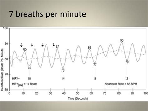 What Is Normal Breaths Per Minute For Cats At Paul Brower Blog