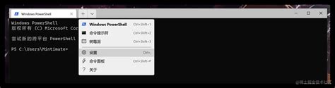 Windows自带的powershell难用？试试windows Terminal调用powershell，让powershell更power