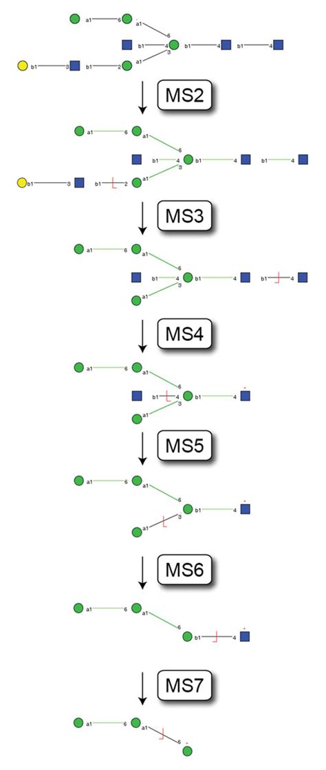 Simplifying Complex Biological Matrices Simplifying Complex Biological Matrices