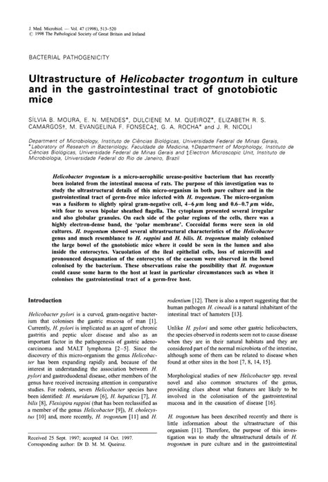 Pdf Ultrastructure Of Helicobacter Trogontum In Culture And In The