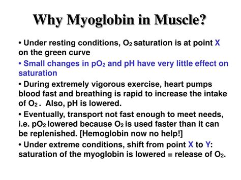 PPT Myoglobin Key Properties PowerPoint Presentation Free Download ID 163988