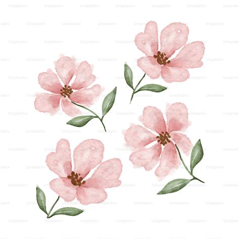 흰색 배경에 녹색 잎이 있는 4개의 분홍색 꽃 벡터 Unsplash의 그림 이미지