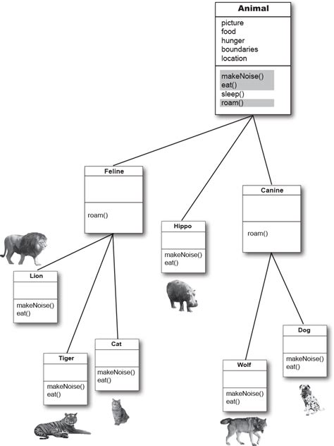 8 serious polymorphism interfaces and abstract classes head first