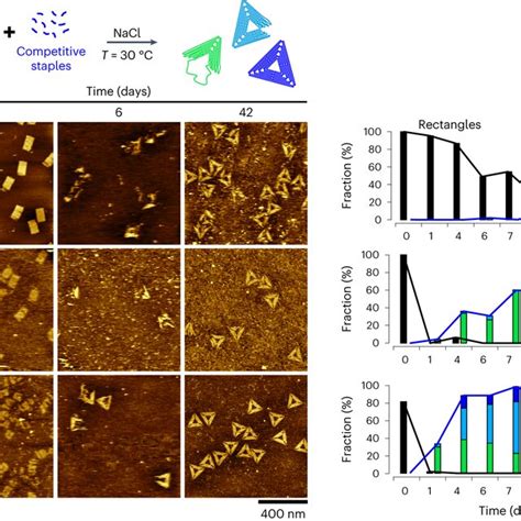 Isothermal Self Assembly Of User Defined Dna Origamis In A