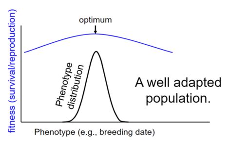 Biol 111 Ecology And Evolution Flashcards Quizlet