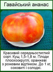 Семена высокорослых (вьющихся) помидор