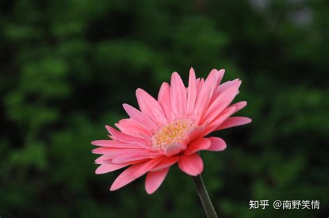 “身长九尺”的关羽，放现在有多高？算不算巨人？ 知乎