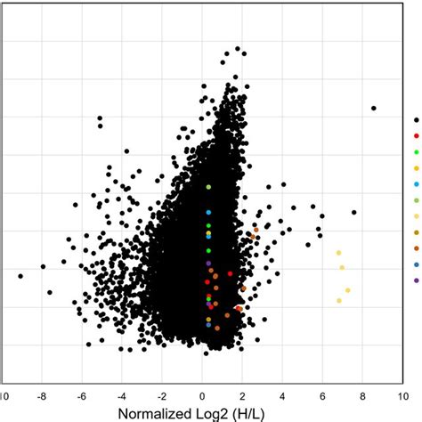 Analysis Of The Silac Based Mass Spectrometry Of Purified Dna Protein