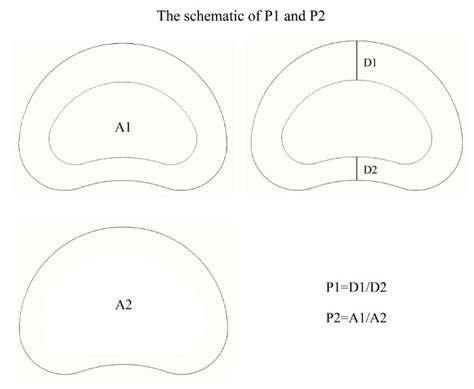 Schematic Of P And P Download Scientific Diagram