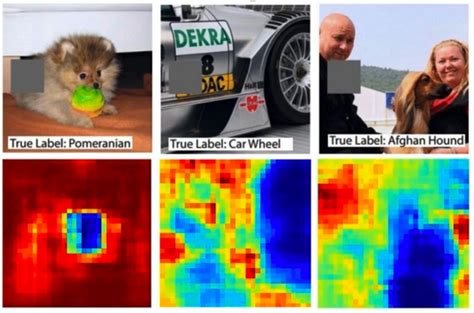 Experimenting With Occlusion Methods To Visualize The Features Learned