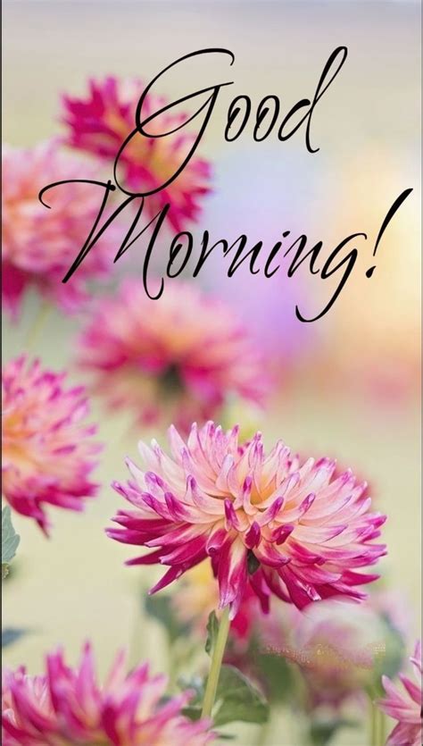 Top 999 Most Beautiful Good Morning Images Amazing Collection Most