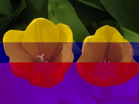 9 Best Ways To Fix ‘unable To Open Jpeg File Error