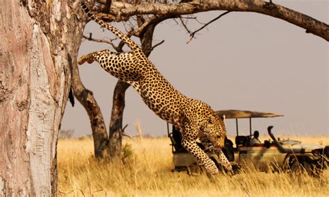 3 Days Akagera National Park Safari Akagera National Park Rwanda