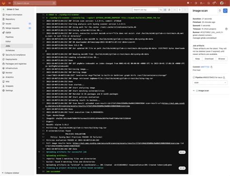 Gitlab Ci Cd Sysdig
