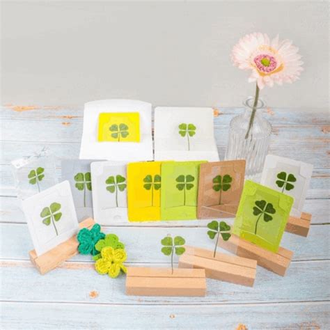 생화 네잎클로버 코팅 카드 책갈피 선물 행운 압화 투명 부적 수험생 시험 합격 기원 수능 취준생 네잎 크로버 크로바 클로바 토끼풀 에이블리