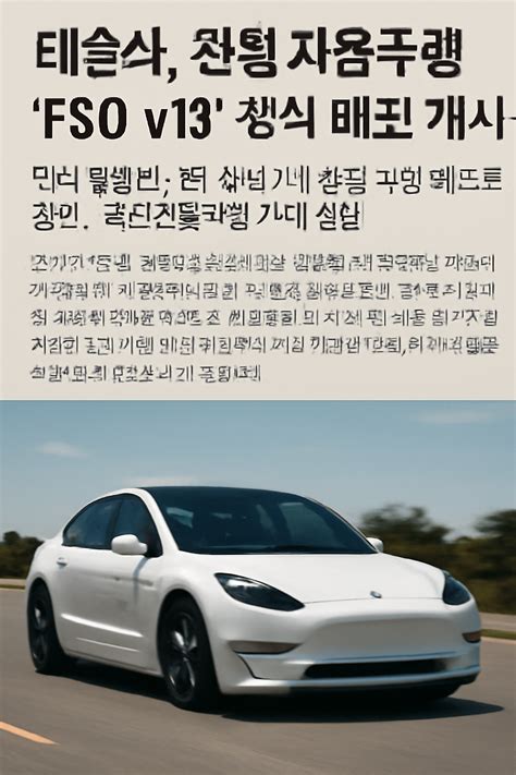 🚗 테슬라 완전 자율주행 ‘fsd V13 정식 배포 개시