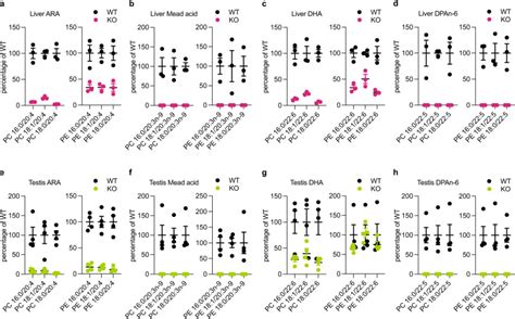 Omega 6 Highly Unsaturated Fatty Acids In Leydig Cells Facilitate Male