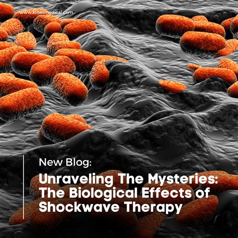 Unraveling The Mysteries The Biological Effects Of Shockwave Therapy