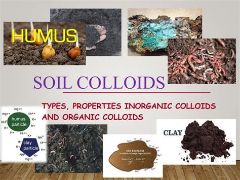 Inorganic And Organic Components Of Soil Soil Composition Pptx