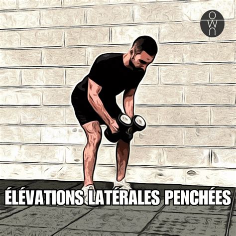 Découvrez Les élévations Latérales Penchées Avec Un Coach