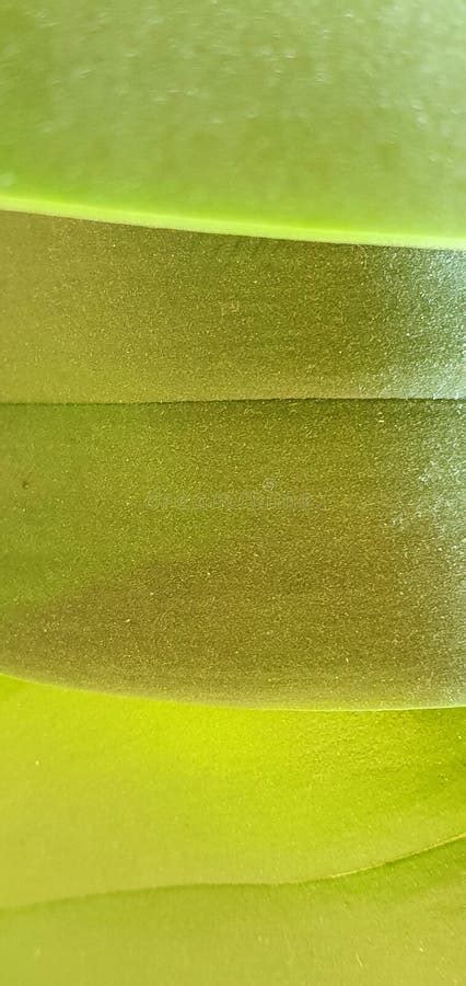 Fresh Green Leaf Structure Wallpaper 2 Stock Image Image Of Leaf