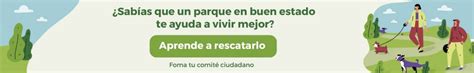 Qué es la paz como valor Parques Alegres I A P