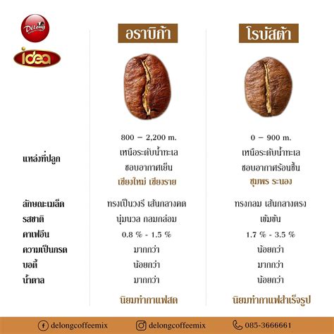 กาแฟอราบิก้าและกาแฟโรบัสต้า แตกต่างกันอย่างไร Delongcoffeemix