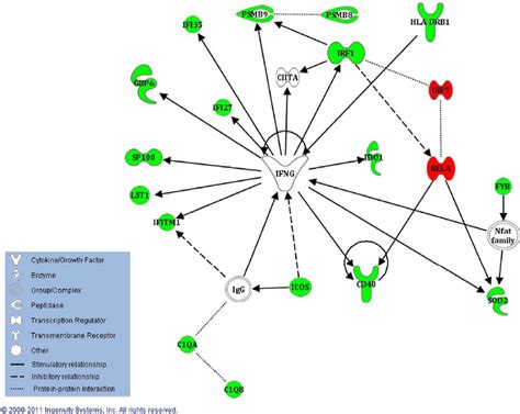 Ingenuity Pathway Analysis Ipa Displaying Regulatory Relationships