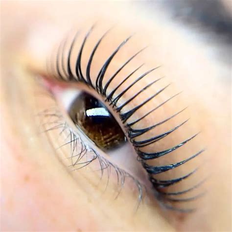 Aura Monaco Korean Lash Lift