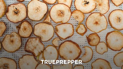 The Best Dehydrator For Prepping And Food Storage Trueprepper