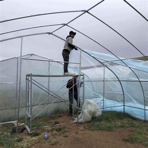 葡萄避雨棚，遮阳种植钢管温室骨架搭建造价，防风雪钢架养殖棚价格 内外棚套棚式塑料温室