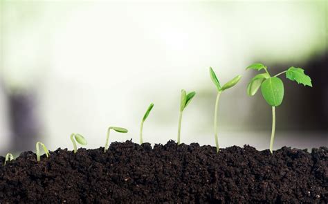 Enhanced Efficiency Fertilizer Market Intelligence Report