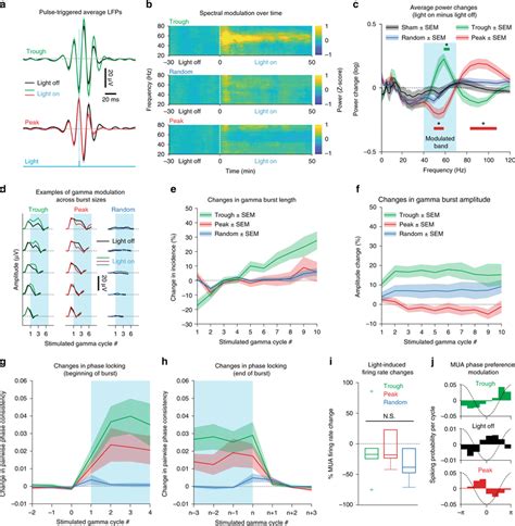 Real Time Gamma Modulation Affects Spectral Power And Unit Entrainment